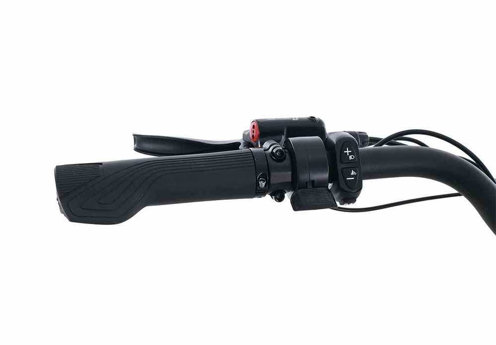 Denago Denago City Model 1 Step-thru eBike - The Bike Shop