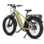 Troxus Explorer Plus Step Over E-Bike - Downtown Bicycles | Fort Lauderdale
