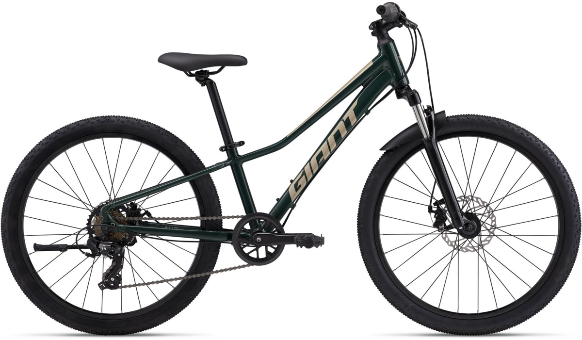 Giant Talon 24 Disc - Massachusetts Bike Shop - Landry's Bicycles