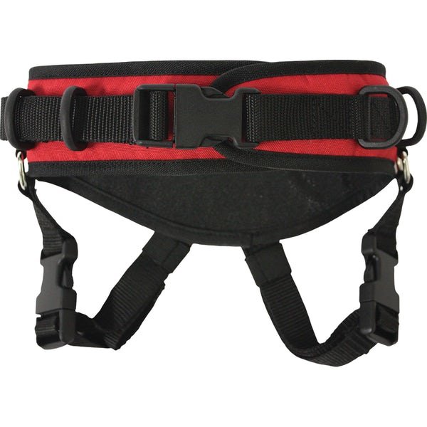 SKI TIES ULTIMATE SKI HARNESS - Mike's Bike Shop