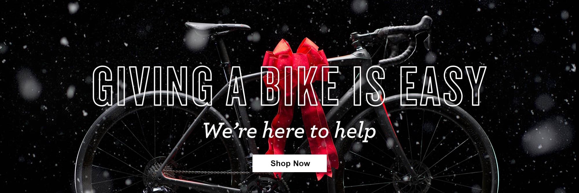 Dedham Bike Shop - Massachusetts | Bicycles Since 1932
