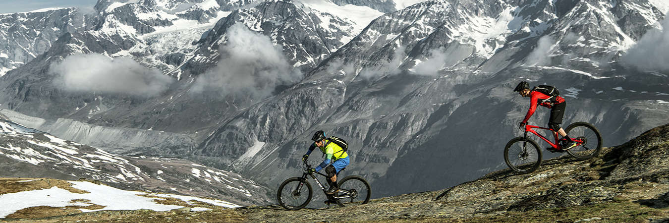 DT Swiss | Wheels | Hubs | Rims - Free Shipping - Dedham Bike