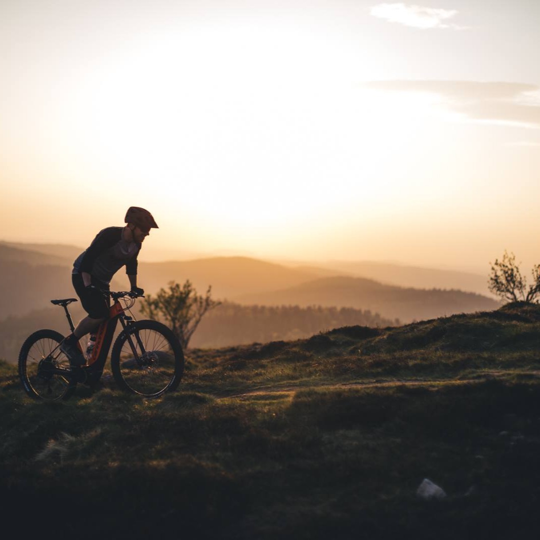 Al's Bicycles | Edmond, Northwest & Southwest OKC