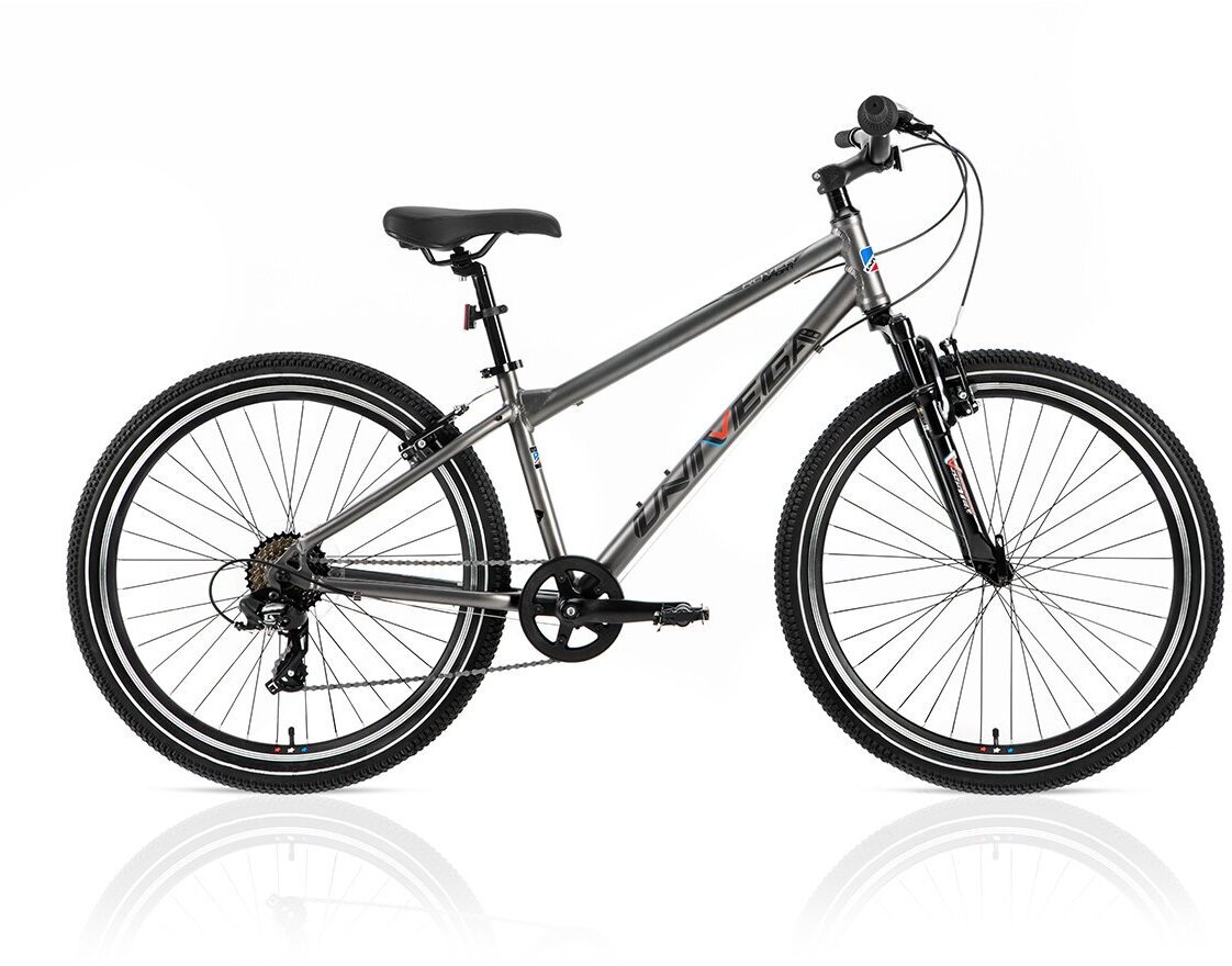 Univega Rover Sport 26" - Wheelworks | Belmont & Somerville Bike Shop