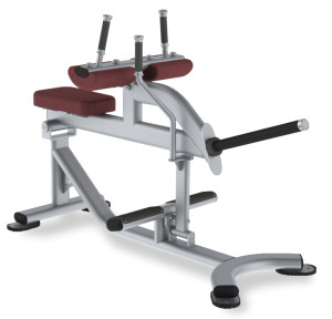 Paramount Fitness Line Seated Calf - Bickel's Cycling & Fitness | West ...
