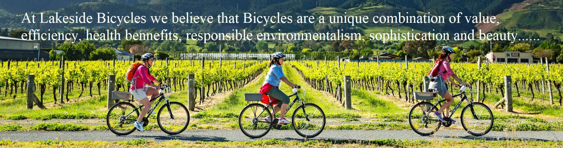 Lakeside Bicycles | Bike Shop in Portland, OR