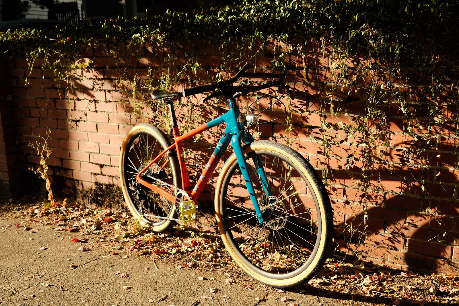 Custom Build - Marin Headlands - Joe Bike