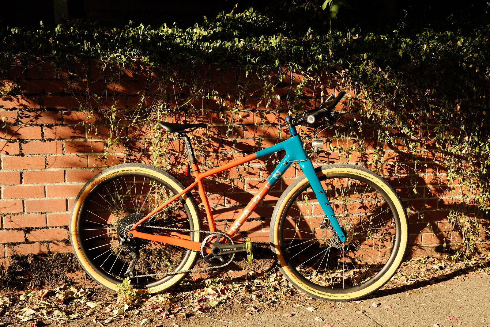 Custom Build - Marin Headlands - Joe Bike