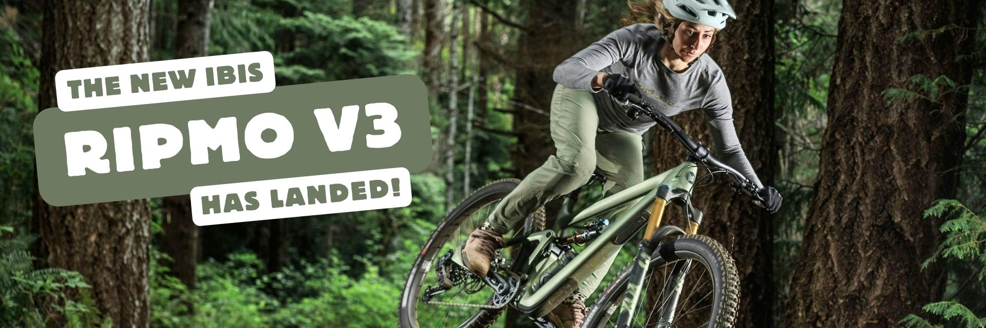 Ridley's Cycle | Your Kensington, Westhills & Okotoks Bike Shops