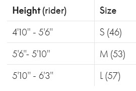 Gazelle Bikes Arroyo C5 Elite LS - Conte's Bike Shop | Since 1957