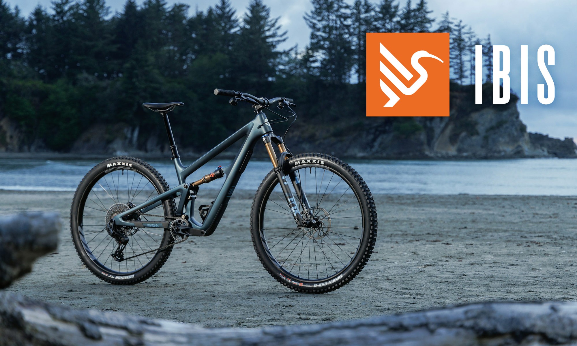 Ibis Cycles - Bicycle Pro Shop | Washington, DC and Springfield, VA