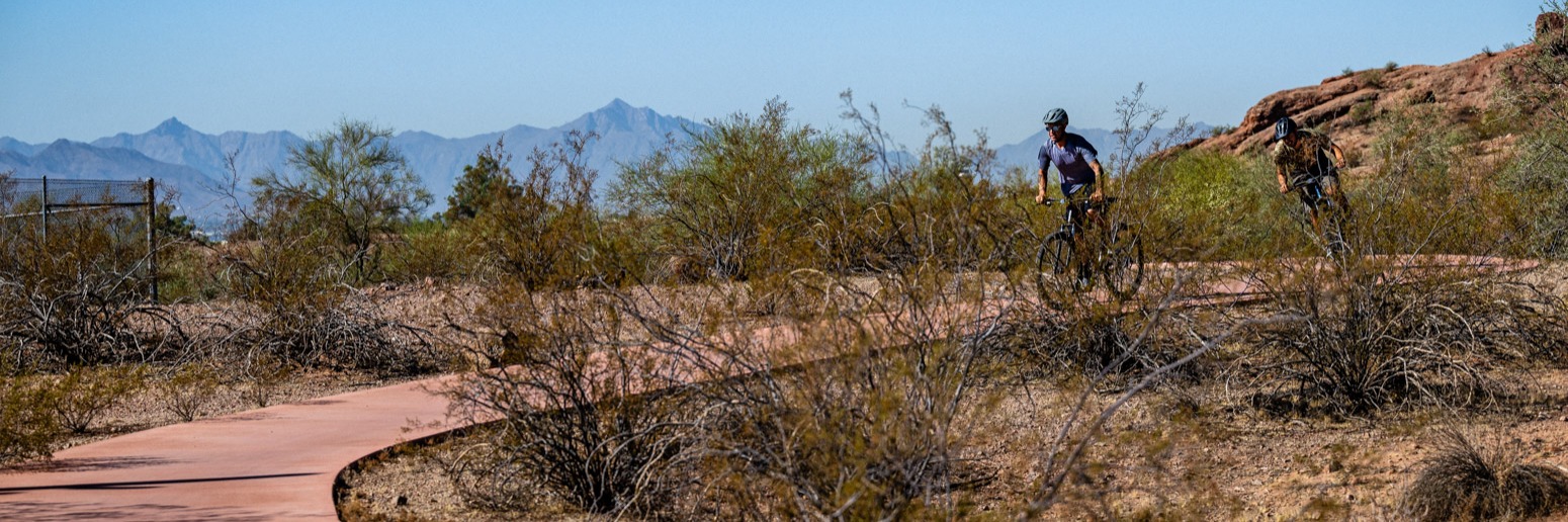 Archer's Bikes | Bikes On Sale | Arizona - Archer's Bikes | Online Shopping