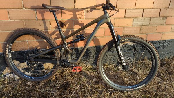 RENTAL REVEL RAIL 29 X01 w CARBON WHEELS MEDIUM - Red Raven | Crosby, MN