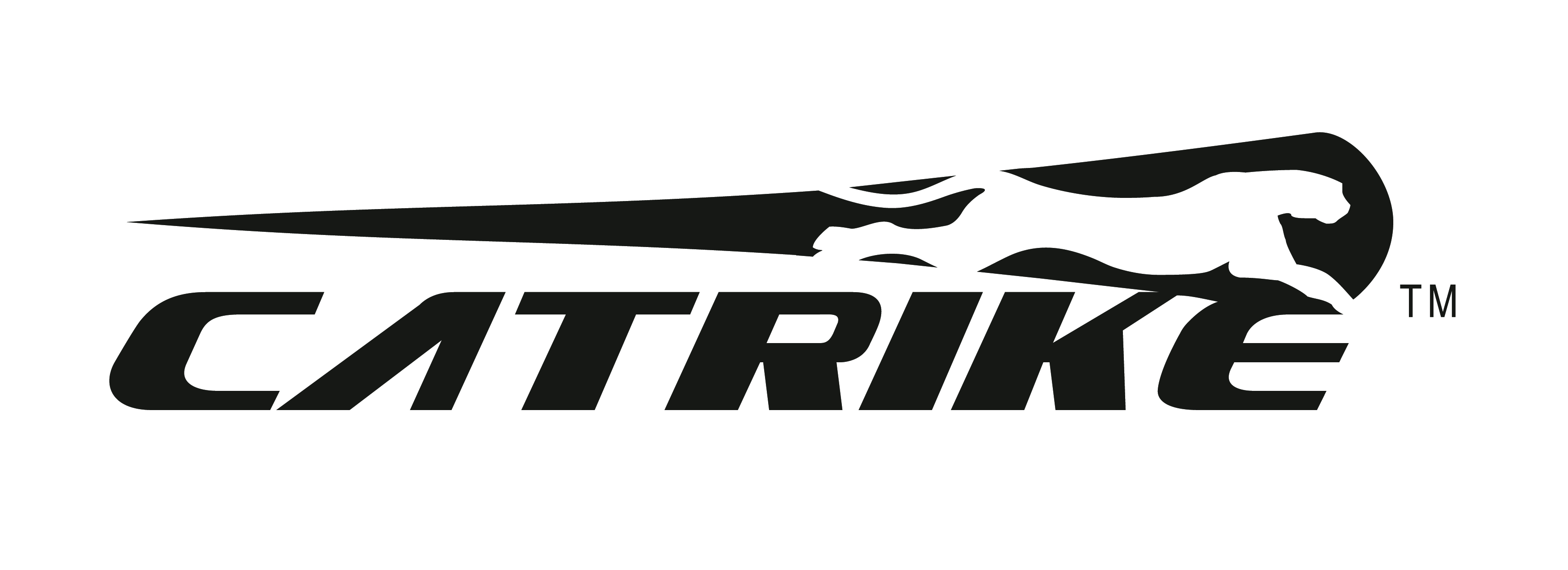 Catrike - Lewes Cycle Sports