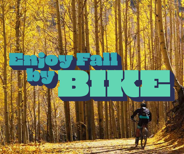 Bike Depot, Bike Shop Toronto & Online Store