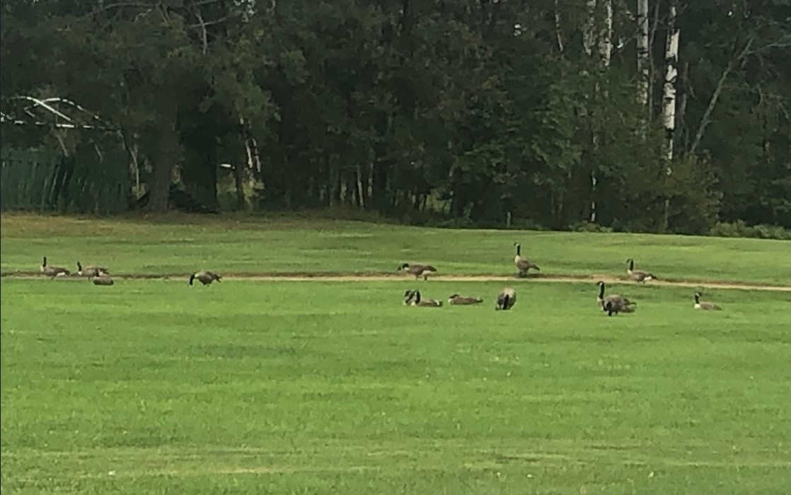 Ride in Canada - Bicycle Adventure | Fort Morgan, CO