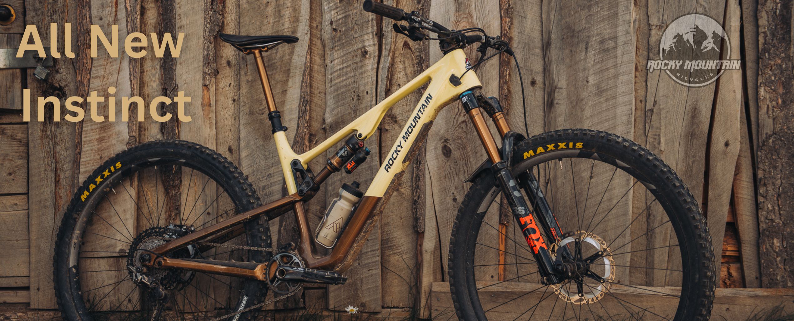 Cycle Therapy Bikes | Duncan