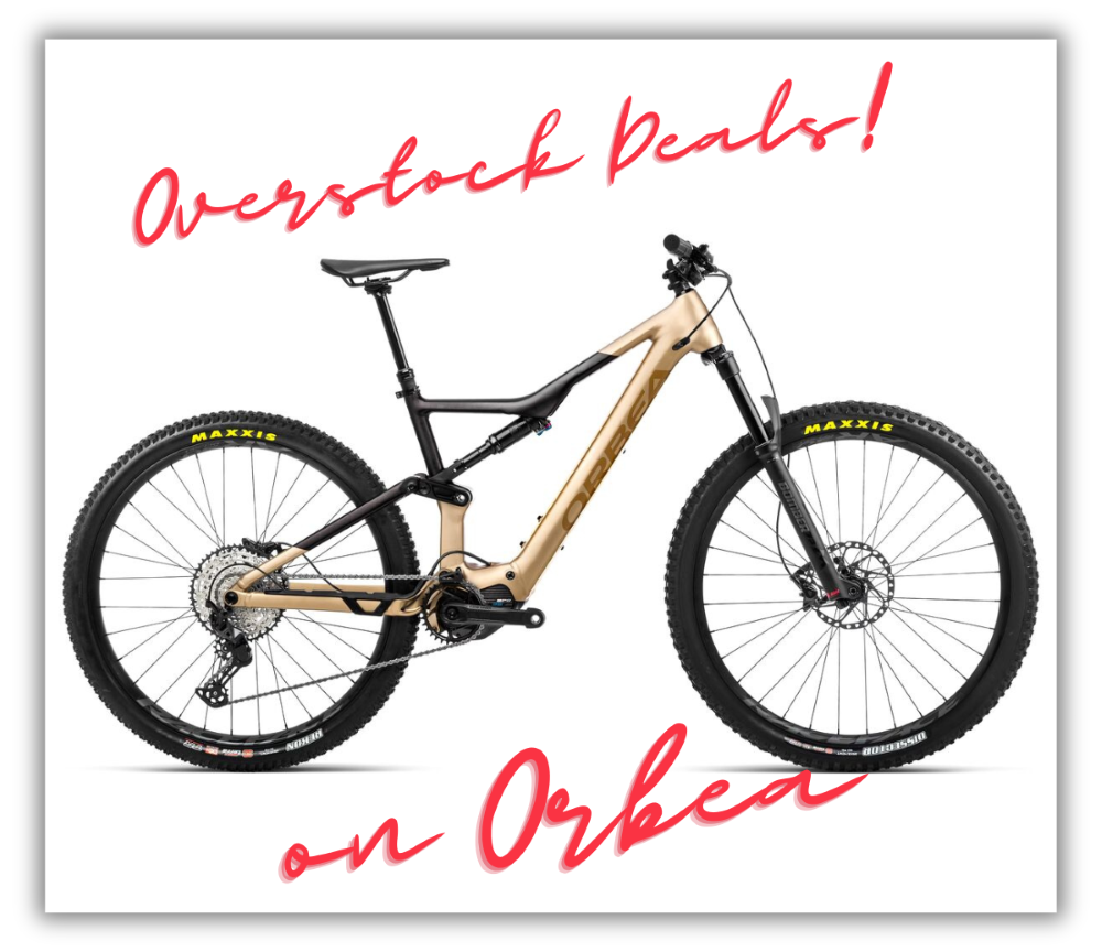 Dynamite Bike Lab Scottsdale