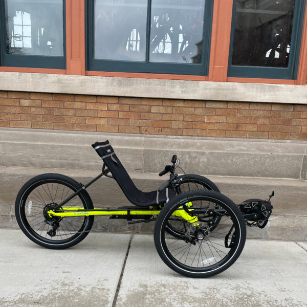 TerraTrike TerraTrike Rambler W/ Boost Kit Seagrass - Motorless Motion ...