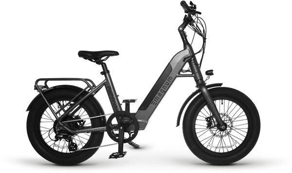 Magnum Bikes Pathfinder 500 - E-Cycle Adventures | New Port Richey ...
