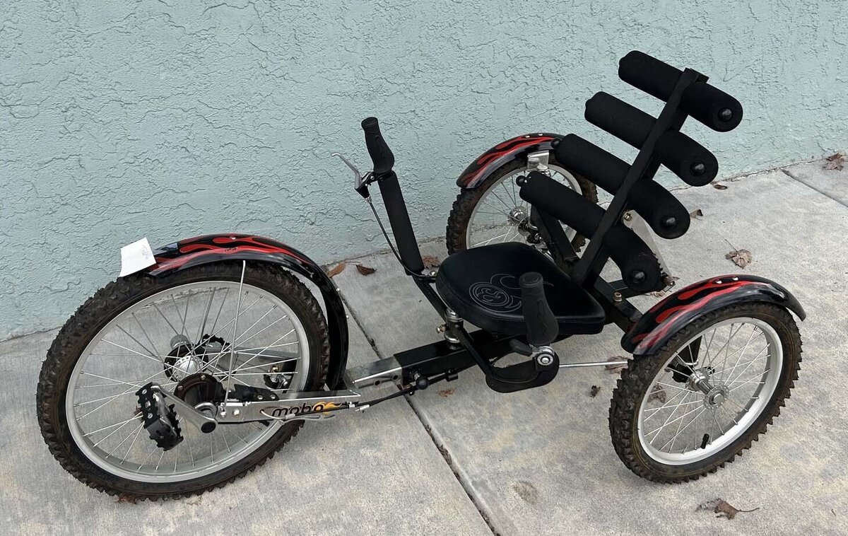 LoweRiders Used Mobo Recumbent Bike - LoweRiders | Downingtown, PA